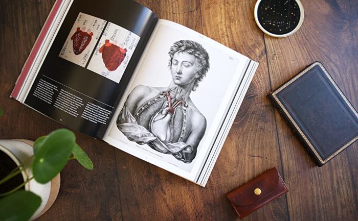5 Best Anatomy Art Books For Beginners - Smashing Pencils